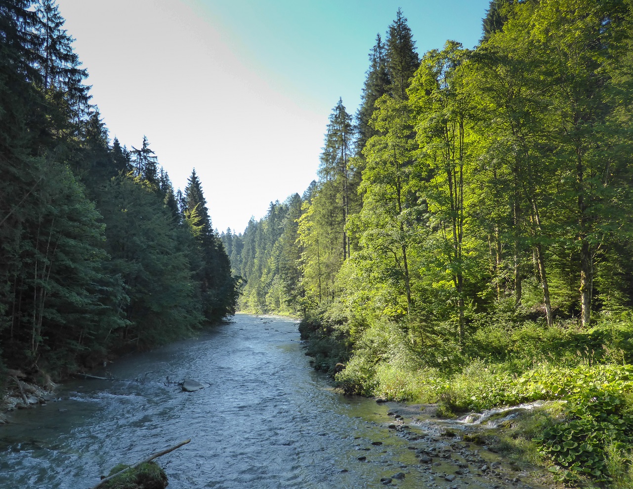 Abschnitte der Ammer